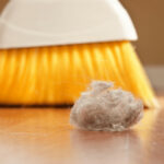 Dust Bunnies: What Are They and How Can I Get Rid of Them